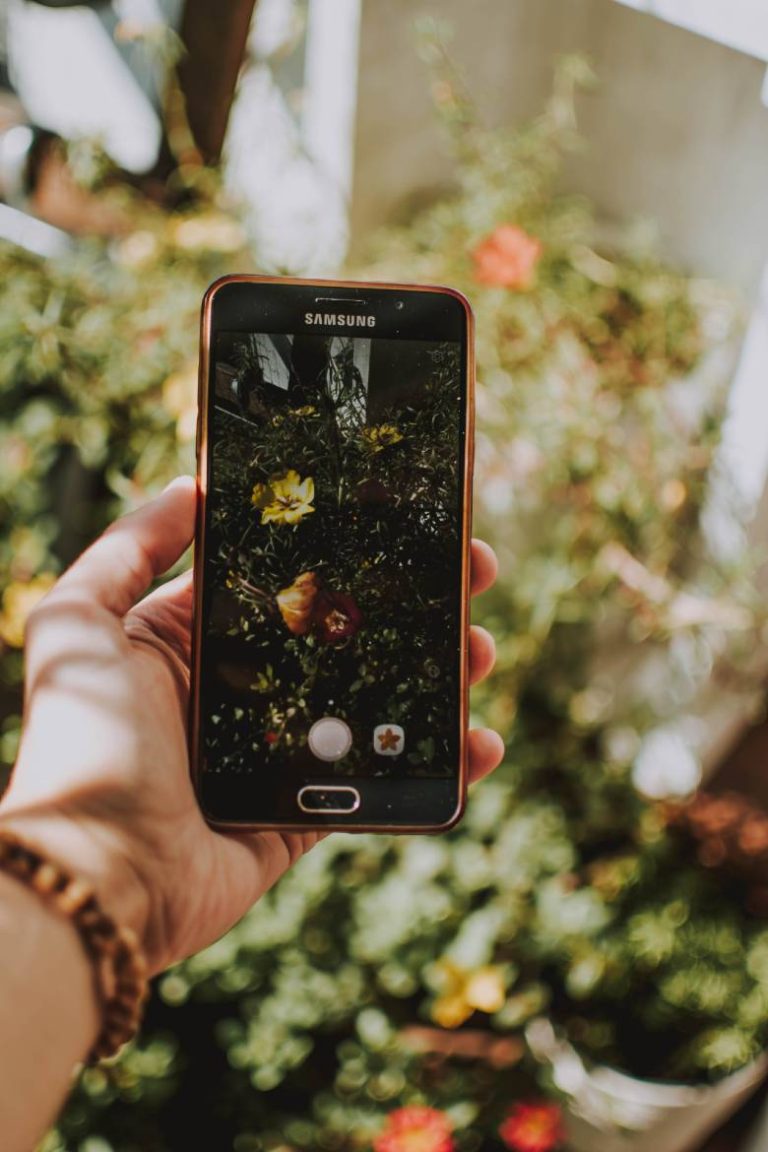 Over 100 Fun Summer Hashtags For Instagram (2023)