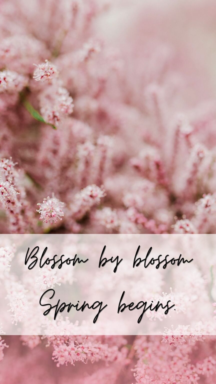 30+ Stunning Spring Wallpapers For IPhone Screens (2023)